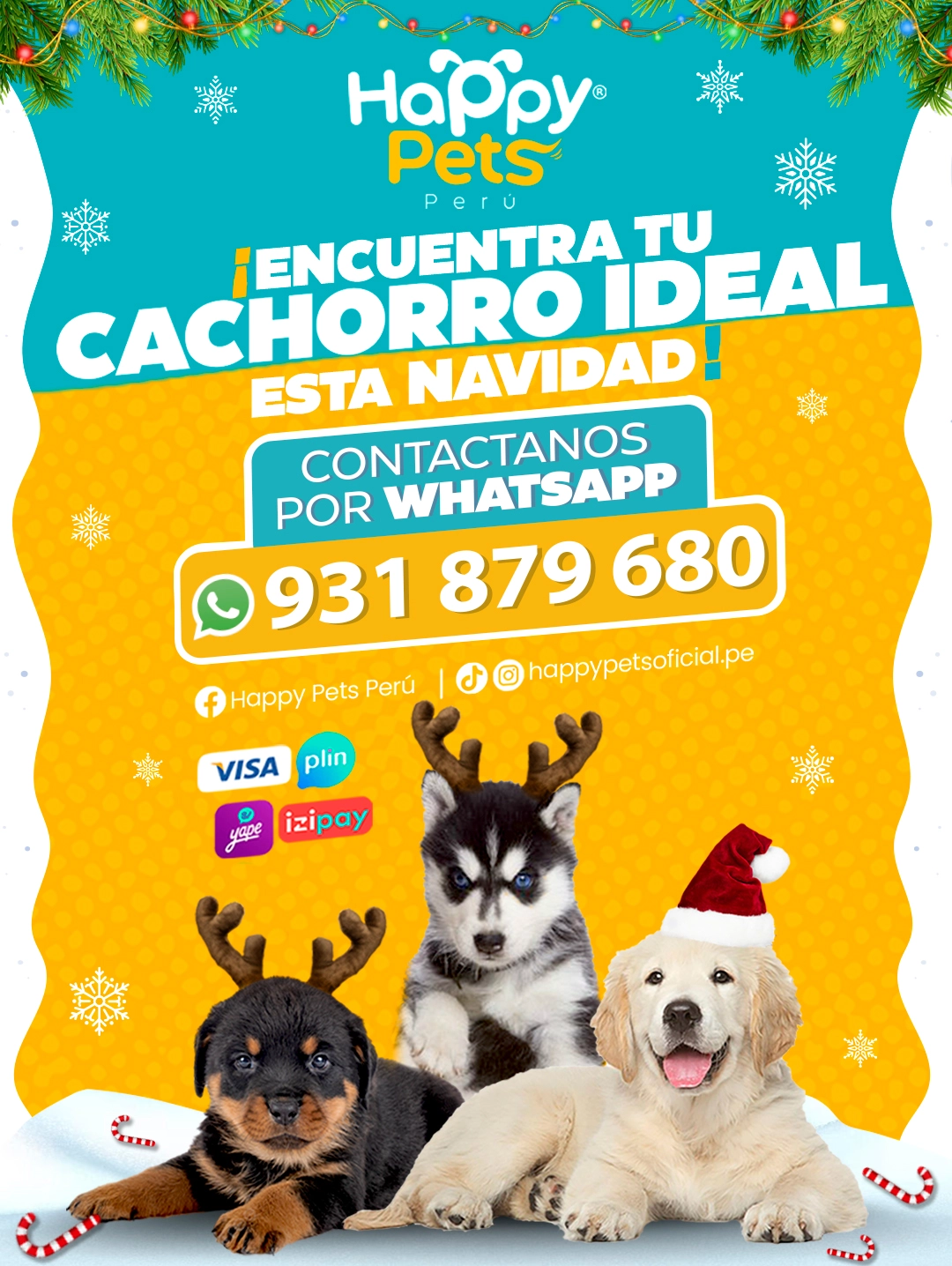 Venta de Cachorros de Razas en lima - Happy Pets Perú